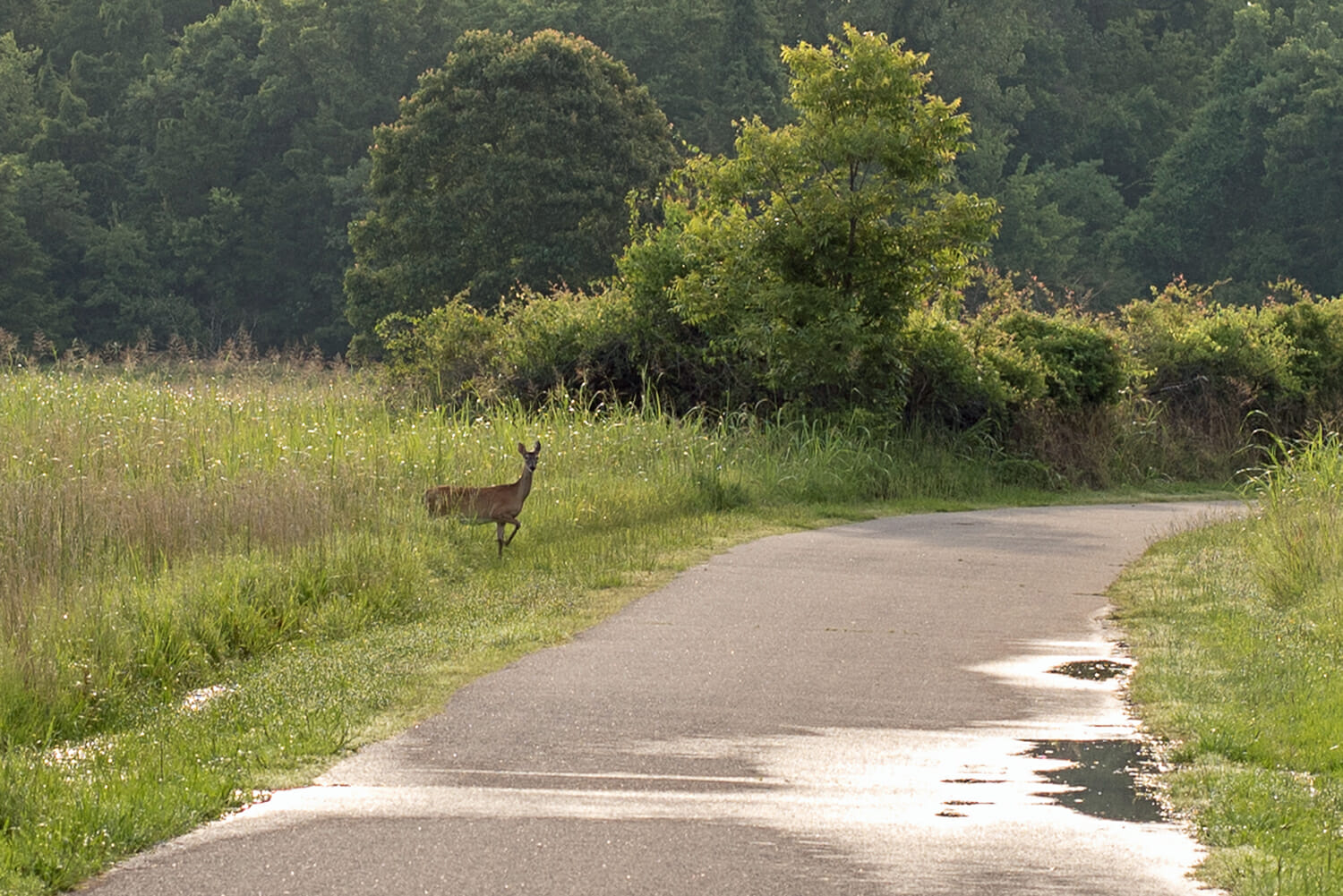 Two Rivers Park - The Best Views in Little Rock (that don't require a ...