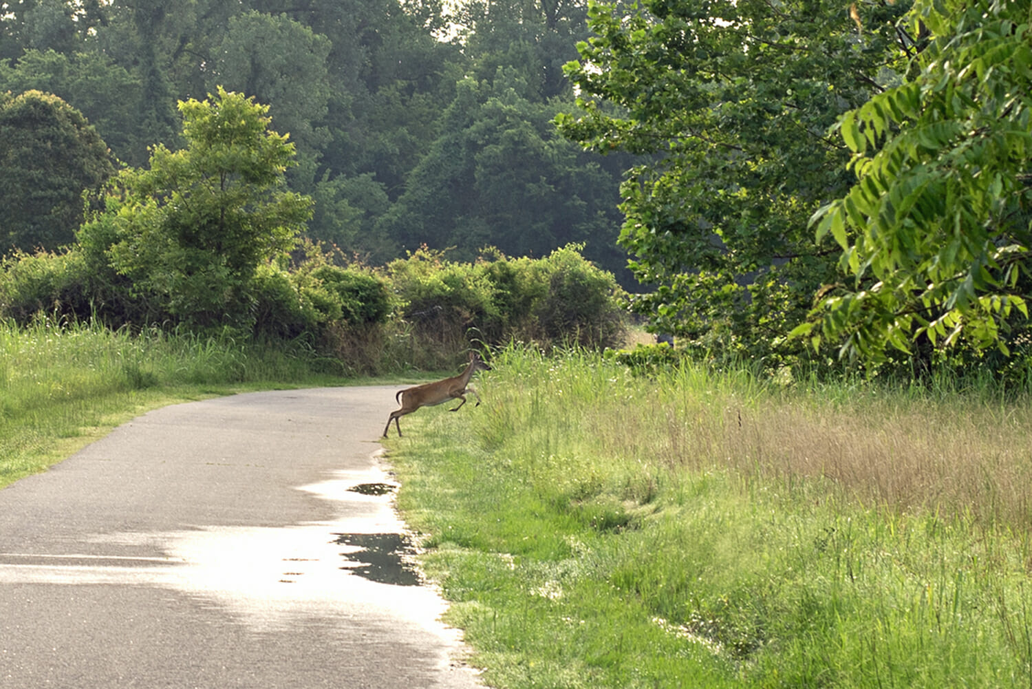 Two Rivers Park - The Best Views in Little Rock (that don't require a ...
