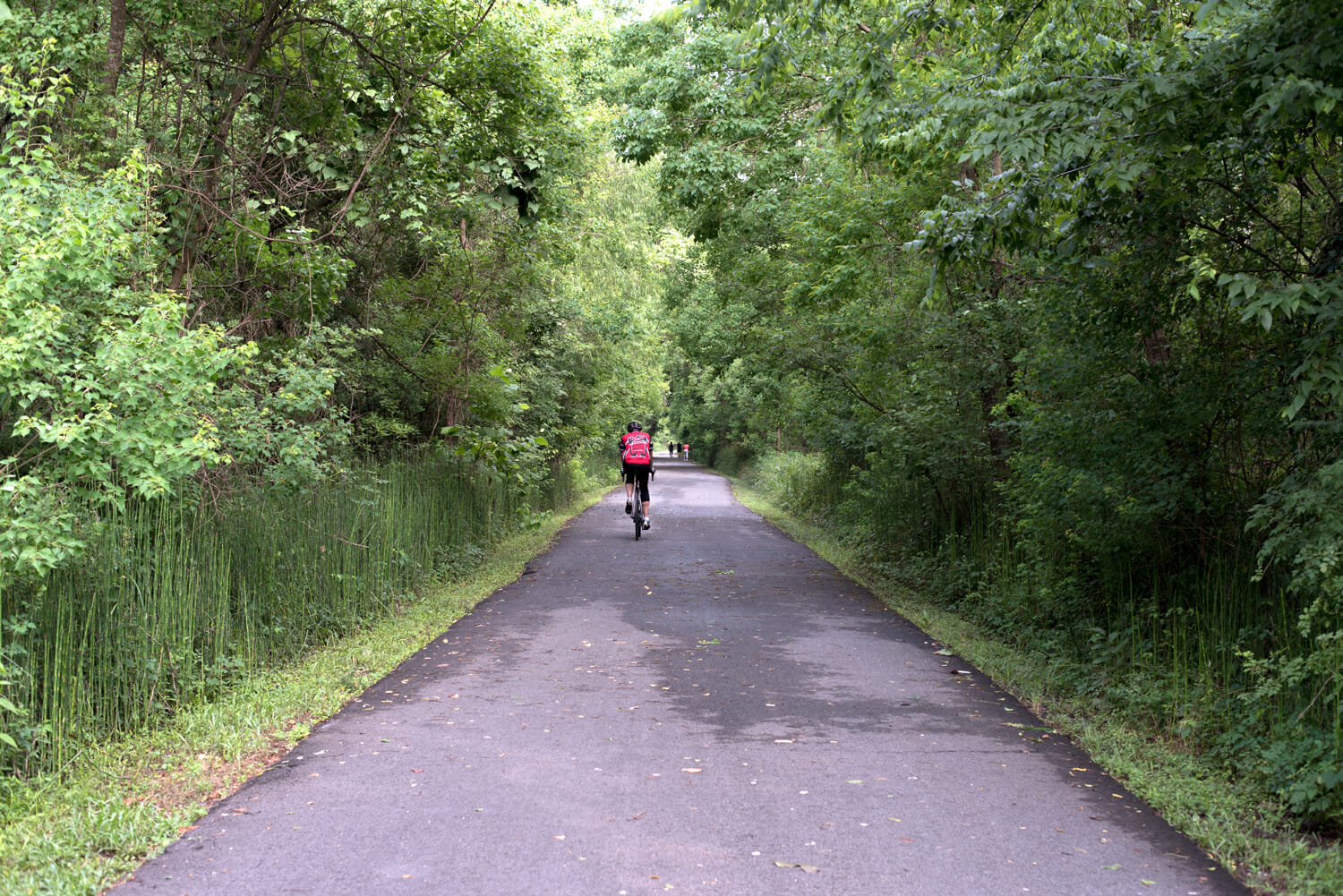 Two Rivers Park - The Best Views in Little Rock (that don't require a ...