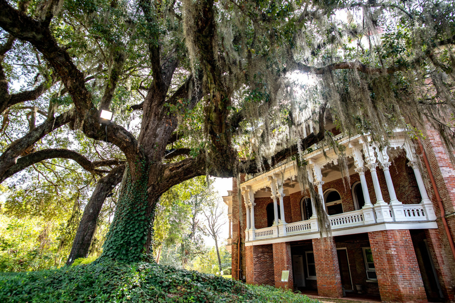 Things To Do In Natchez MS Somewhere Down South