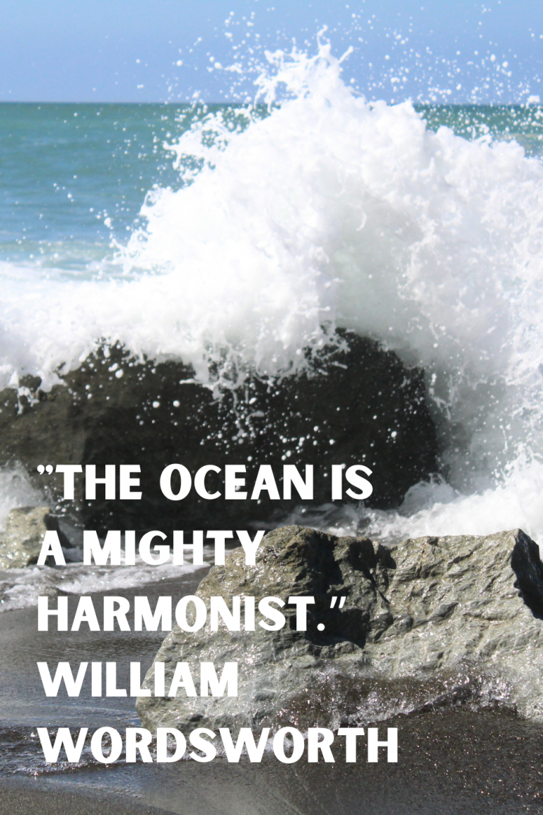 200 of the Best Beach Quotes